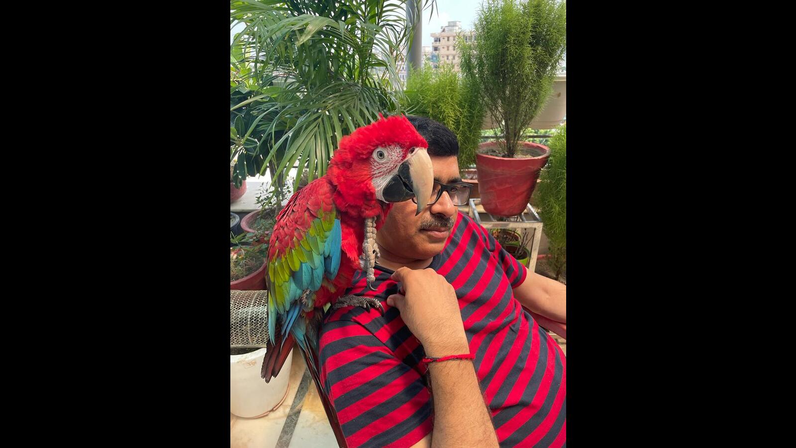 Man gives his pet macaw to Lucknow zoo, says ‘it was like sending a kid ...