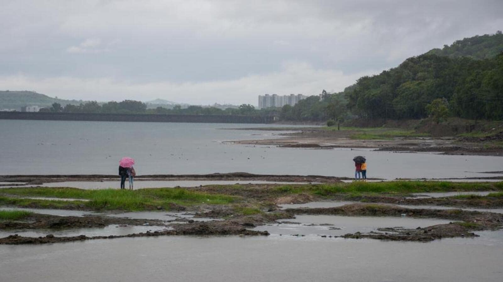 23.05 TMC water released from dams could have fulfilled Pune city’s ...