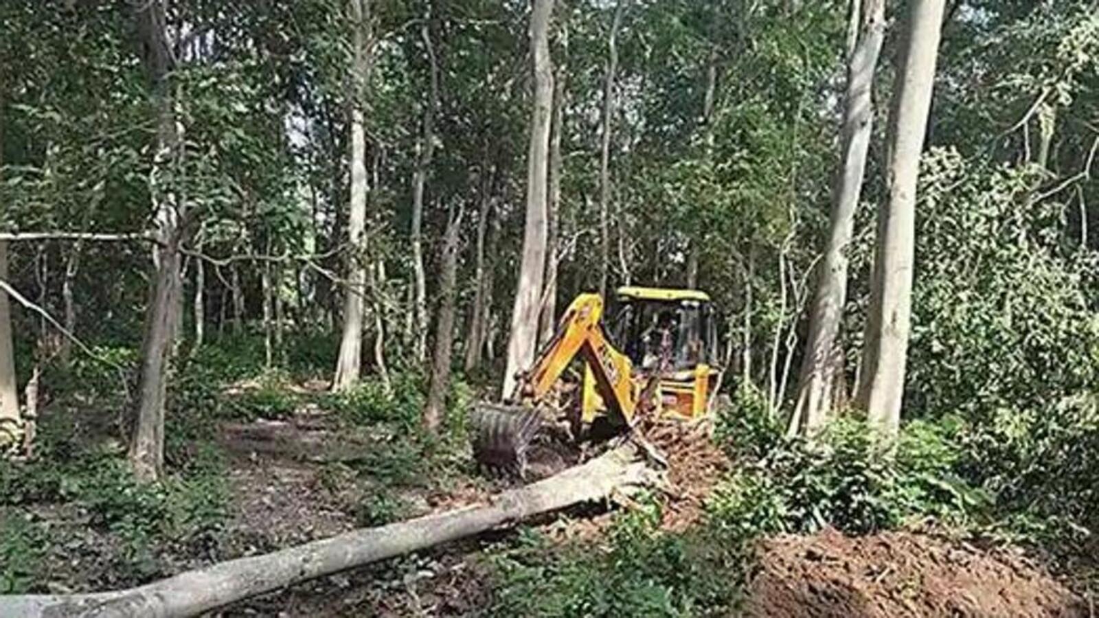 Stop tiger safari project until fixing Corbett tree felling violations ...