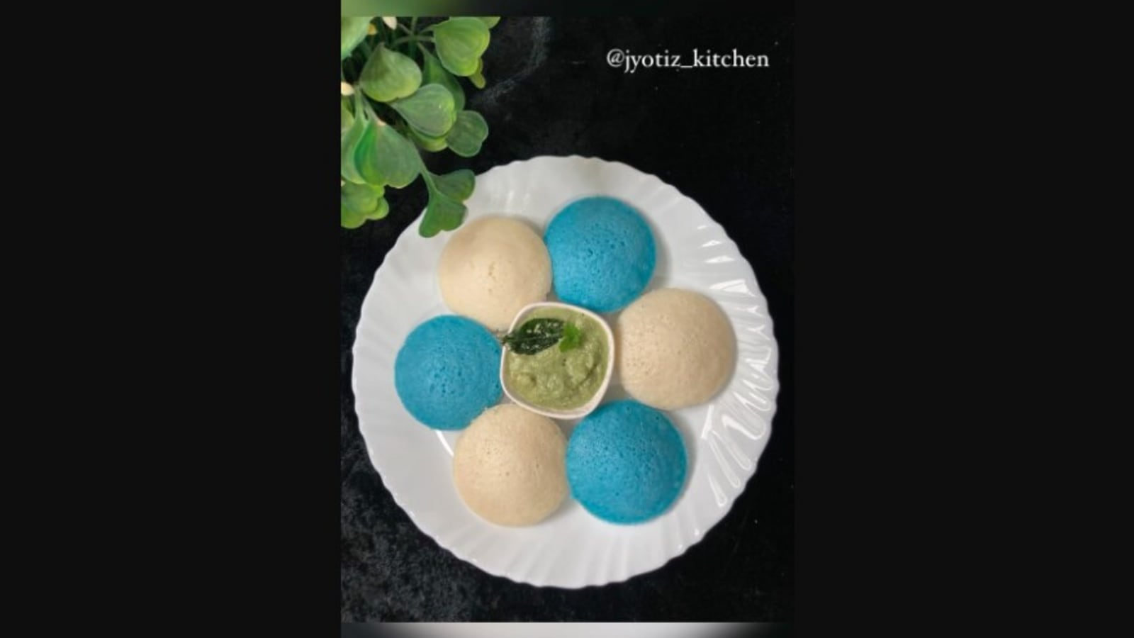 Woman makes blue idlis using butterfly pea flowers, video sparks ...