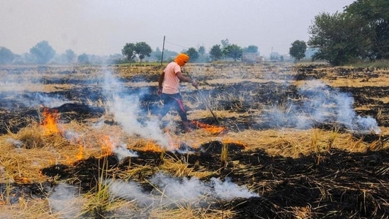 Stubble burning remains a 'significant contributor' to Delhi's ...