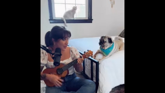 Woman sings Bruno Mars' Just the Way You Are to cute pet dog. Watch its ...
