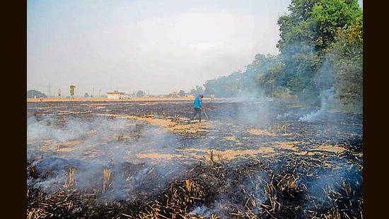 Raging farm fires leave 9 Haryana cities with ‘very poor’ AQI ...