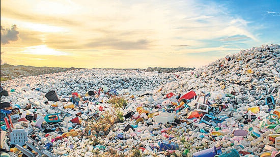Using plastic will reduce the cost of road construction: Punjab ...