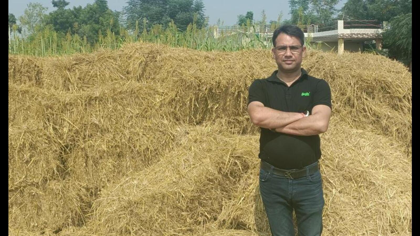 Management graduate turns straw into fodder - Hindustan Times
