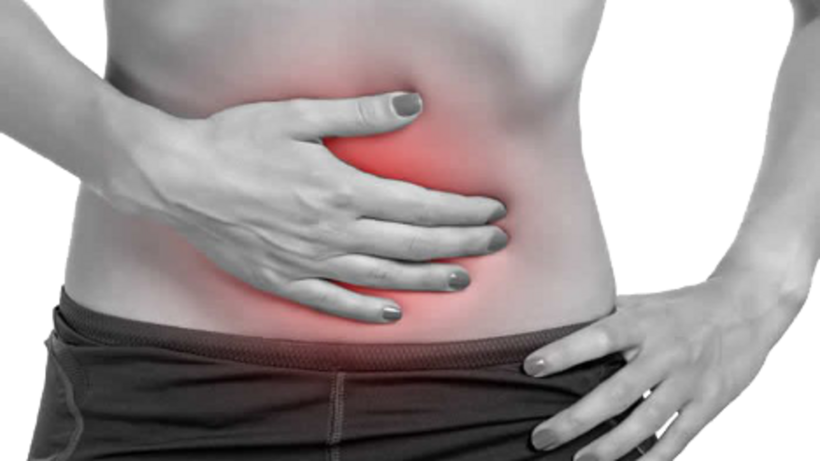 Gut Brain Connection For Social Behavior Research Health Hindustan