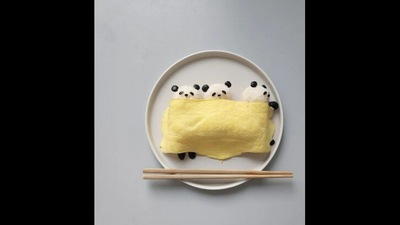 Artist creates an adorable-looking panda in a blanket with rice and ...