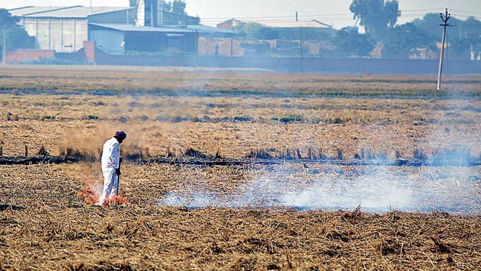 Farm fires hit 2-week low as winds dissuade farmers | Latest News India ...