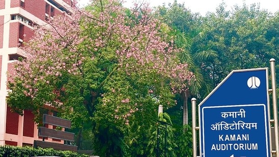 Delhiwale: Consolation in blossoms | Latest News Delhi - Hindustan Times