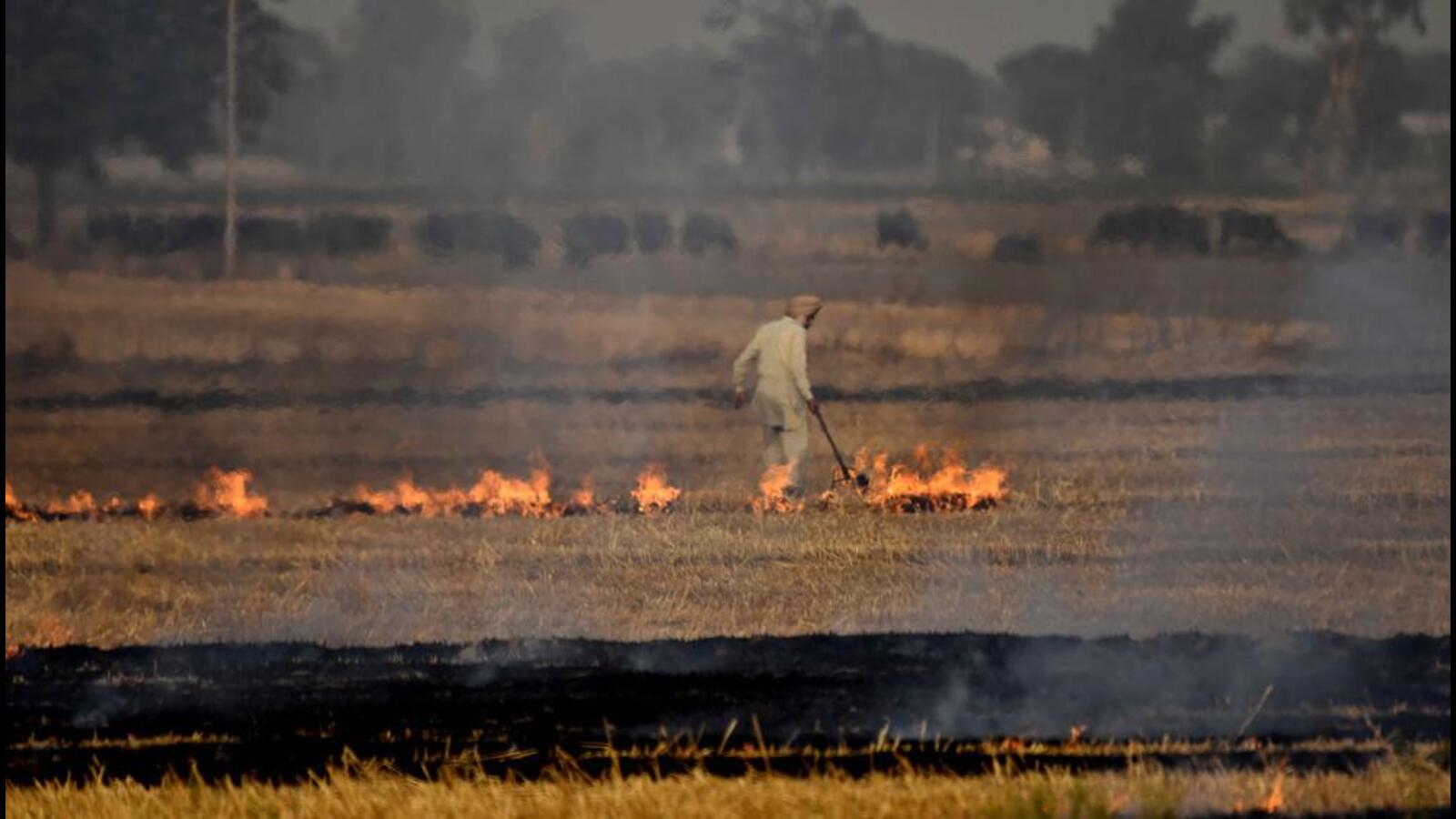 Haryana cites NASA data for rising farm fires in Punjab - Hindustan Times