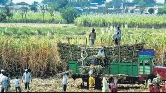 Maintain transparency in ethanol output, UP govt tells sugar mills ...
