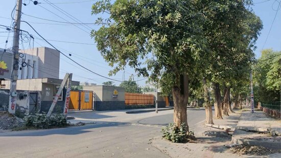 Removal of interlocking tiles around trees: Ludhiana MC, LIT told to ...