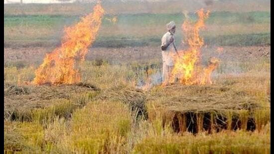 20% of fuel used in brick kilns to be paddy straw, says Punjab govt ...
