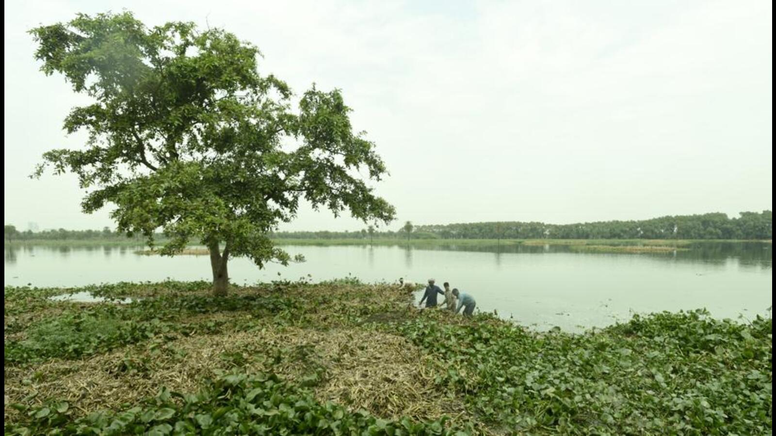 Forest department discusses ecotourism initiatives in Noida | Hindustan ...