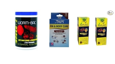 Guide to purchasing the best fish medication and health supplies | HT ...