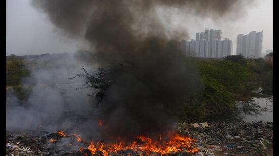 MCG officials, concessionaire booked for illegal dumping, burning of ...