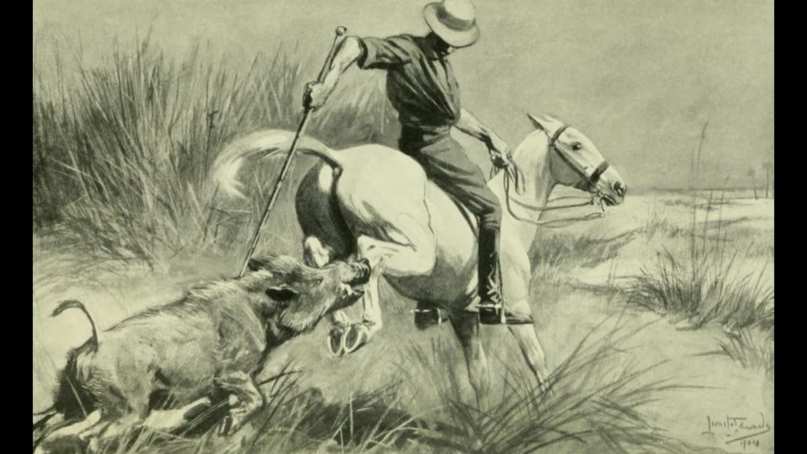 Taste of Life: When pig-sticking hogged the attention of the Raj ...