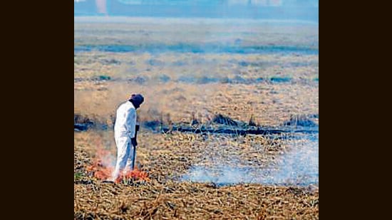 Area under farm fires up even as count dips in Punjab - Hindustan Times