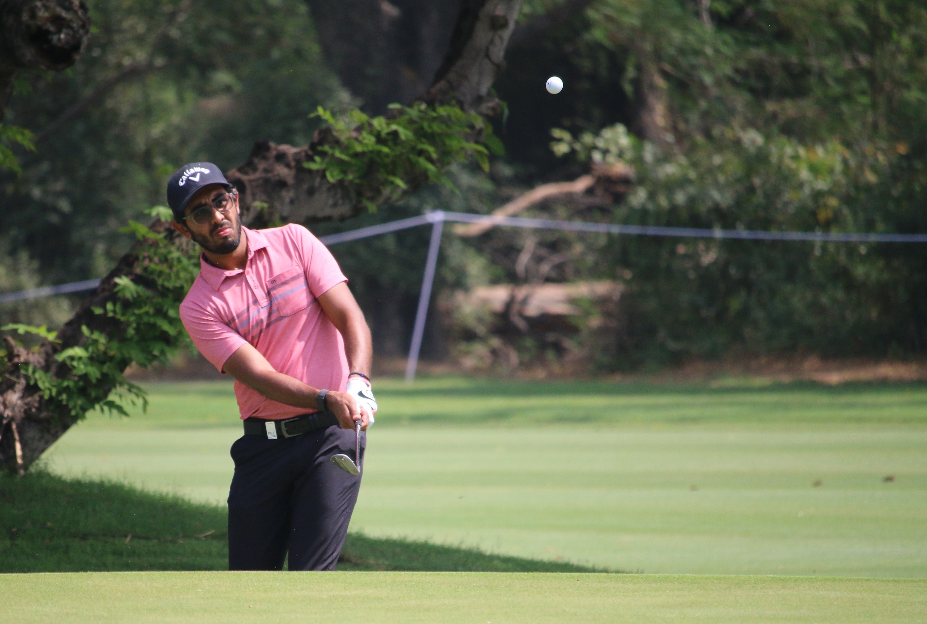 OWGR feeds the big fish