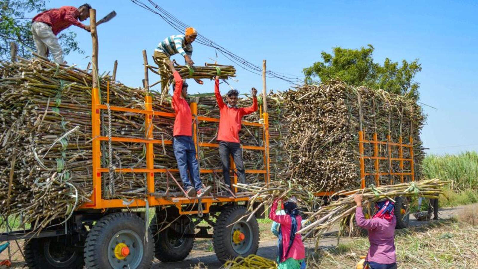 Sugarcane farmers in Bagalkote end stir after CM assures price hike ...