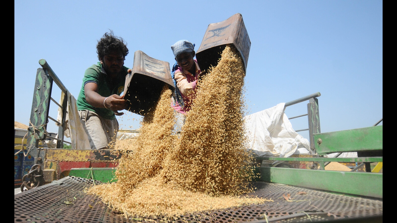 Extend paddy lifting deadline or face stir: Farmers to Punjab govt ...