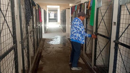 Dog pound at Raipur Kalan to be operational by March next year: MC ...