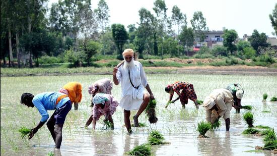 Seechewal raises Punjab’s water crisis issue in Rajya Sabha | Hindustan ...
