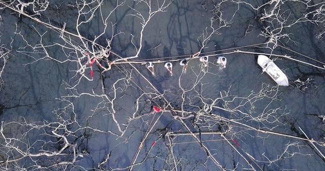 Mourning has broken: View expressions of ecological grief from around ...