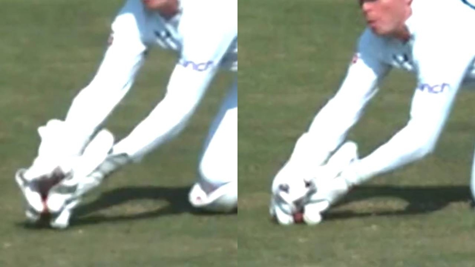 'Shocking decision': Umpires slammed after controversial dismissal ...