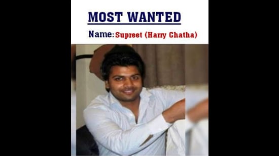 Now, ISI grooms gangster Harry Chattha as Rinda’s replacement ...