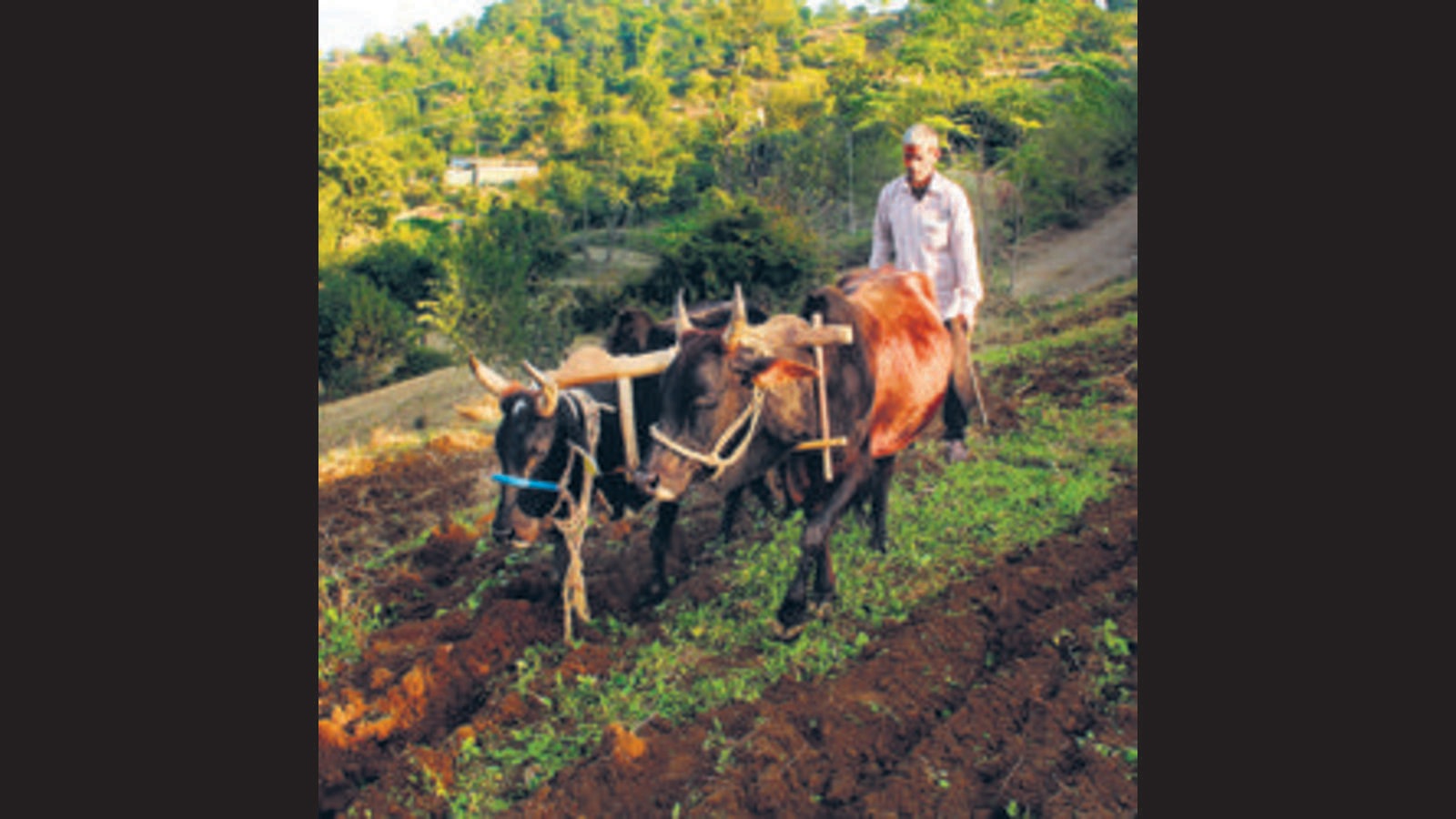 Work in tandem with govt: Minister to elected PRI leaders | Hindustan Times