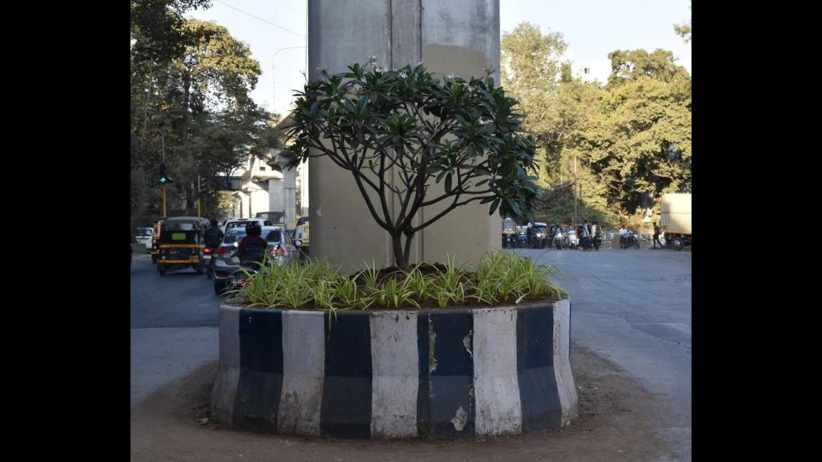 Pune Metro begins rainwater harvesting and beautification of road ...
