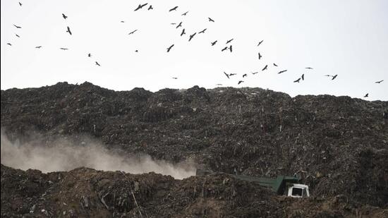 Gurugram, Faridabad to reduce dumping waste at Bandhwari landfill from ...