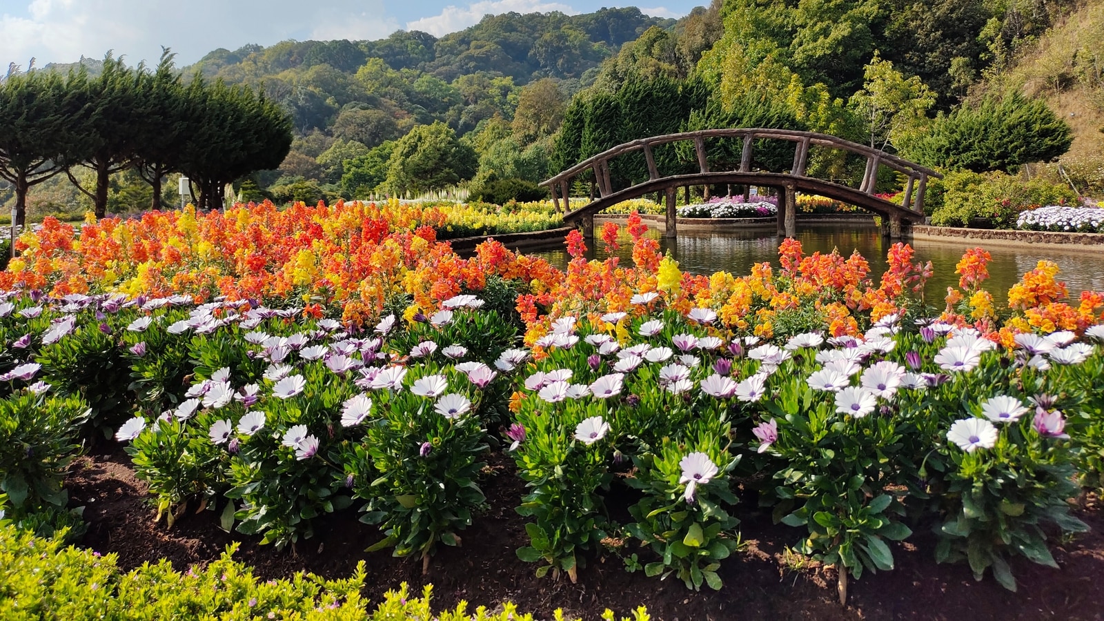 Flower festival in rural Assam attracts tourists | Travel