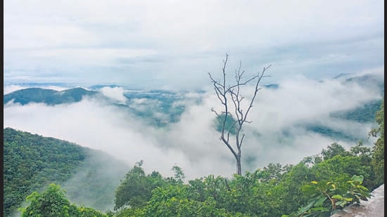 Andhra Pradesh: Hamlet nestled in Eastern Ghats a popular winter ...