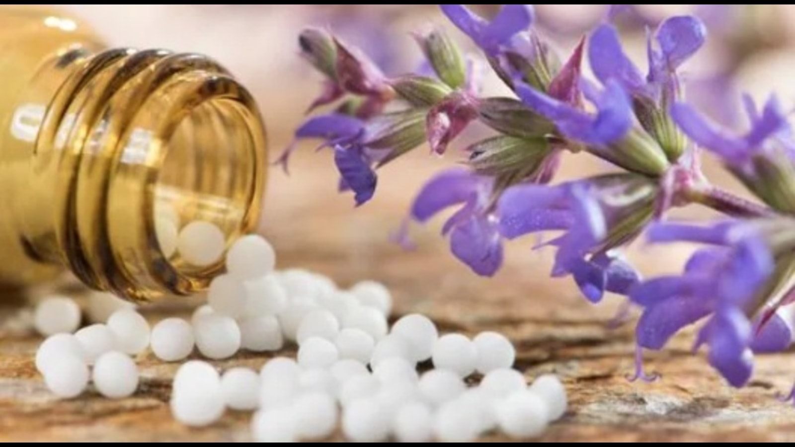 U.P. Homeopathy Board: Verification of infra, facilities in institutes ...