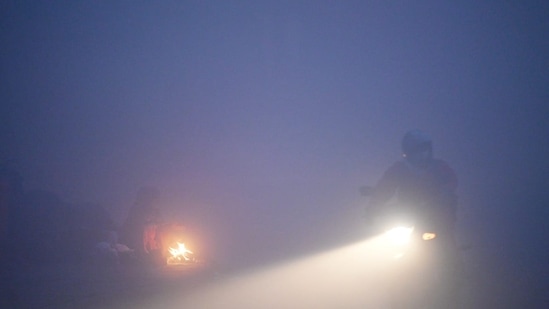 See Pics | Freezing cold, thick fog covers parts of North India ...