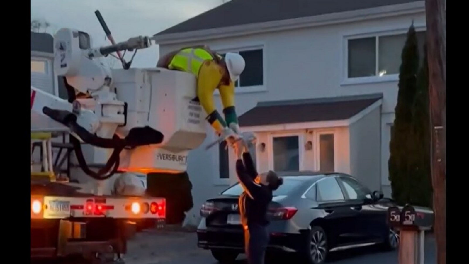 USA worker rescues seagull stuck in wires, netizens thank him for his ...