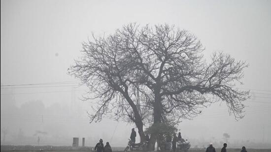 Residents shiver as light drizzle soaks Ludhiana, minimum temperature 9 ...