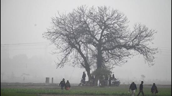 Residents shiver as light drizzle soaks Ludhiana, minimum temperature 9 ...