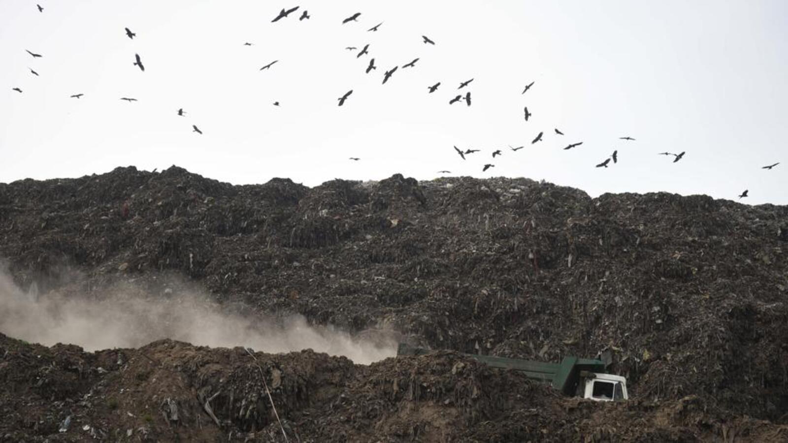 Four private agencies hired by MCG to remove waste from Bandhwari ...