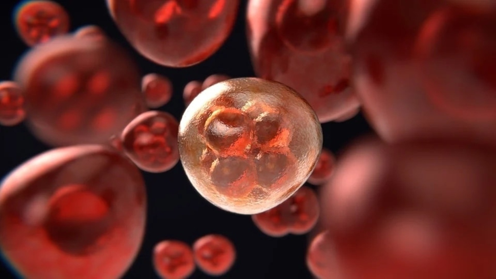 Inflammation levels are linked to severity of blood cancer: Study | Health