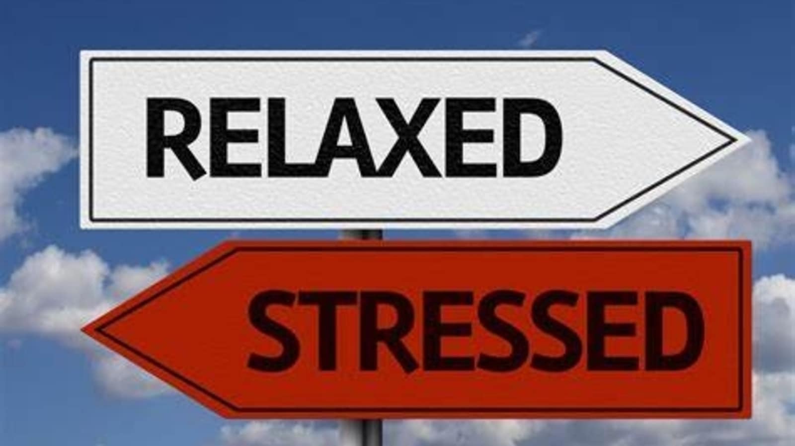 Best ways to de-stress for each zodiac sign | Astrology