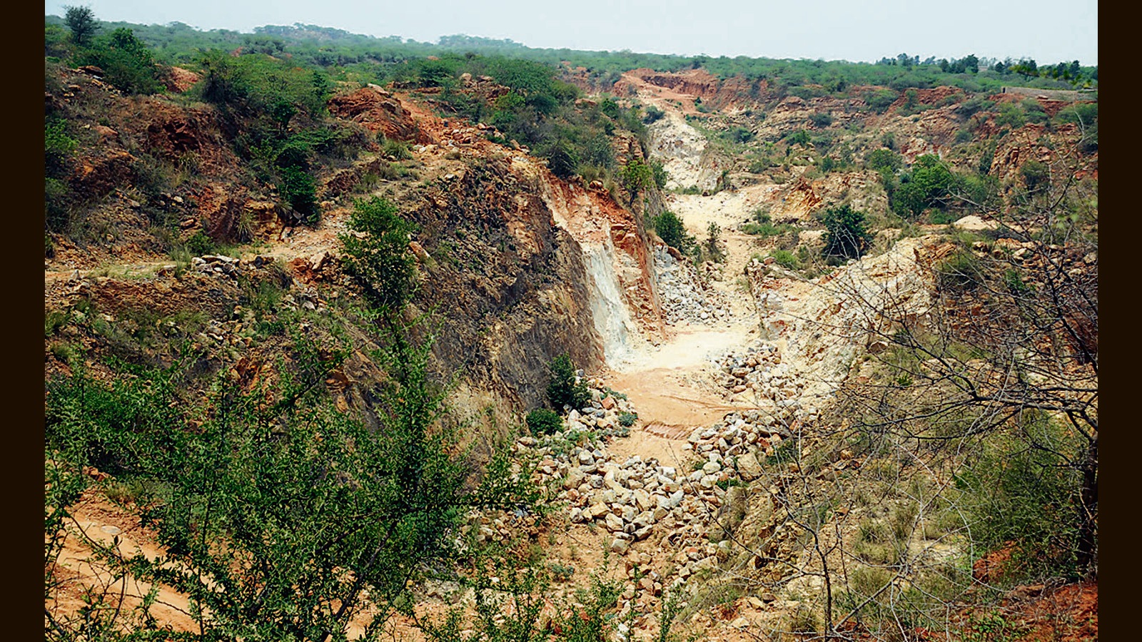 Rethink the Aravalli safari park project - Hindustan Times