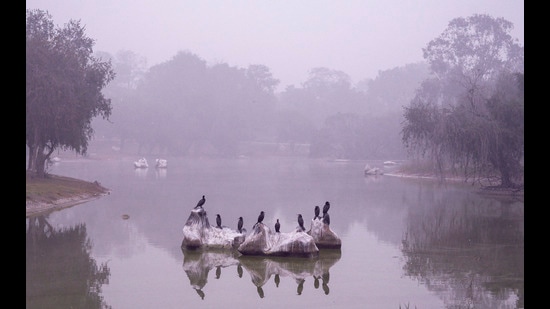 Flag to be hoisted at all 8,777 Amrit Sarovars on R-Day | Hindustan Times