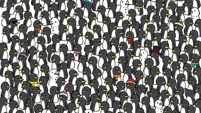 Can you spot three cats hidden among penguins in this viral brain ...