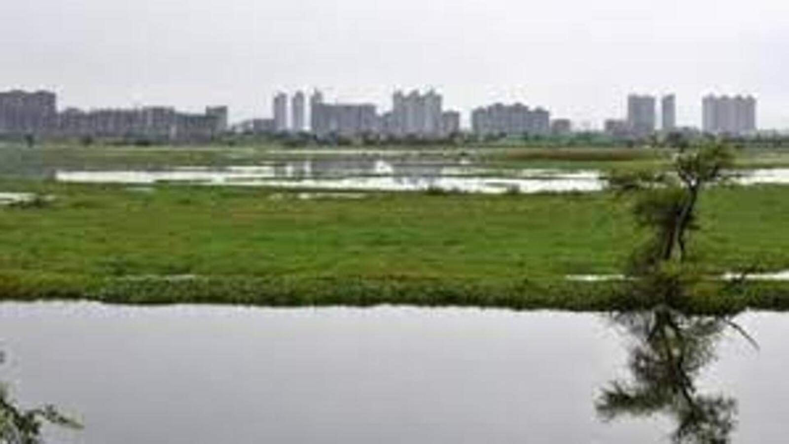 World Wetlands Day: Experts call for revival of old water bodies ...