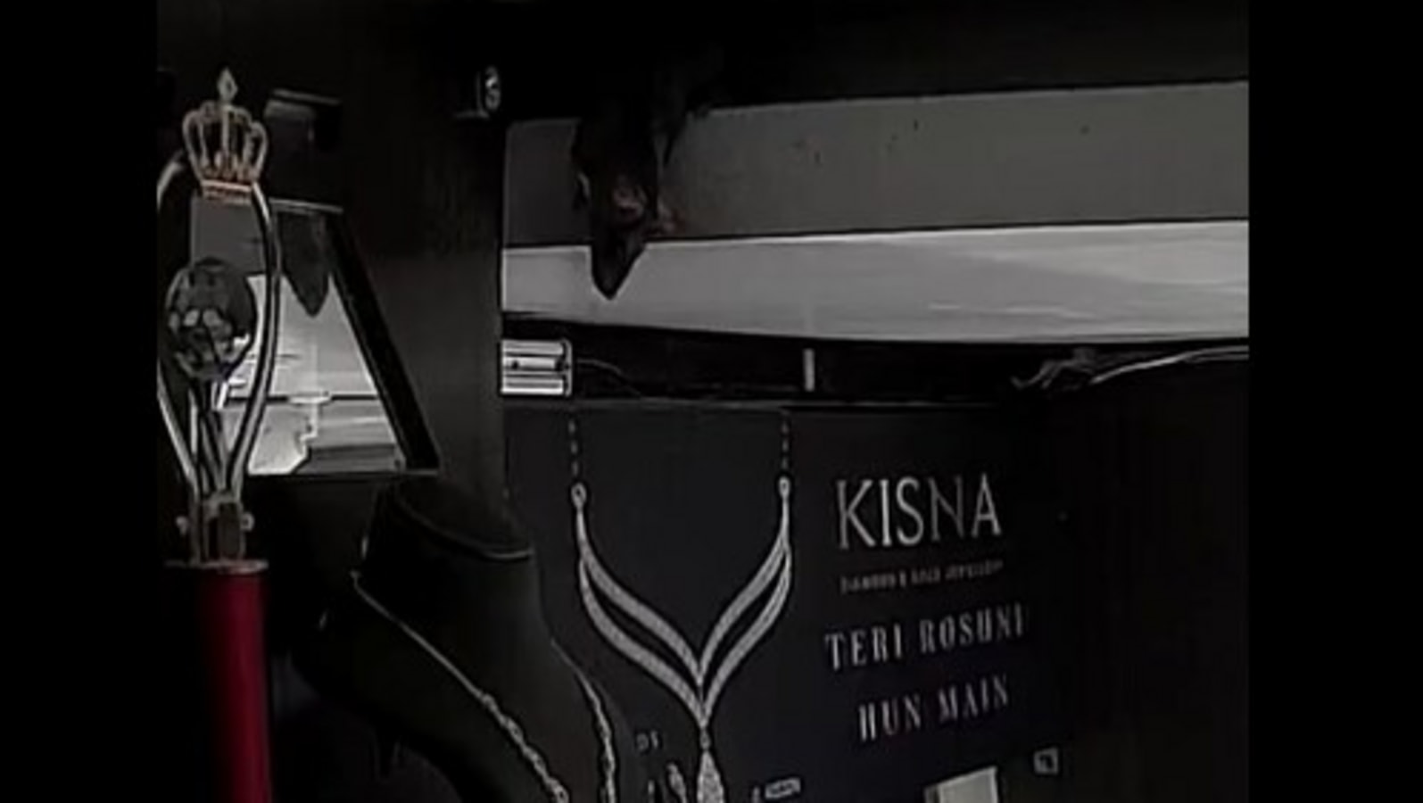 Rat steals necklace kept on display at jewellery store. Watch video of ...