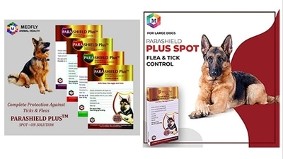 Best spot-on treatments for dog's comfort: 10 options for your furry ...