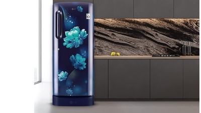 Efficient cooling and energy savings: LG single door refrigerator ...